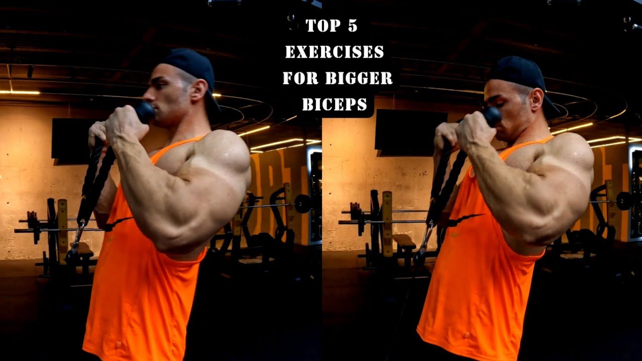 Top 5 Exercises For Bigger Biceps I biceps workout - YouTube