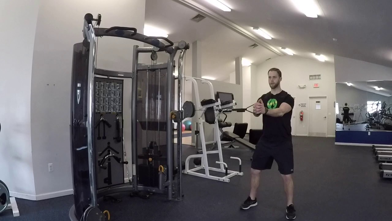 Pallof Isometric Holds - YouTube