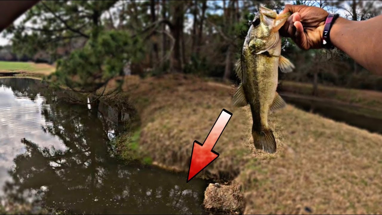 Spring Time Fishing on Go! (NONSTOP BITES) - YouTube