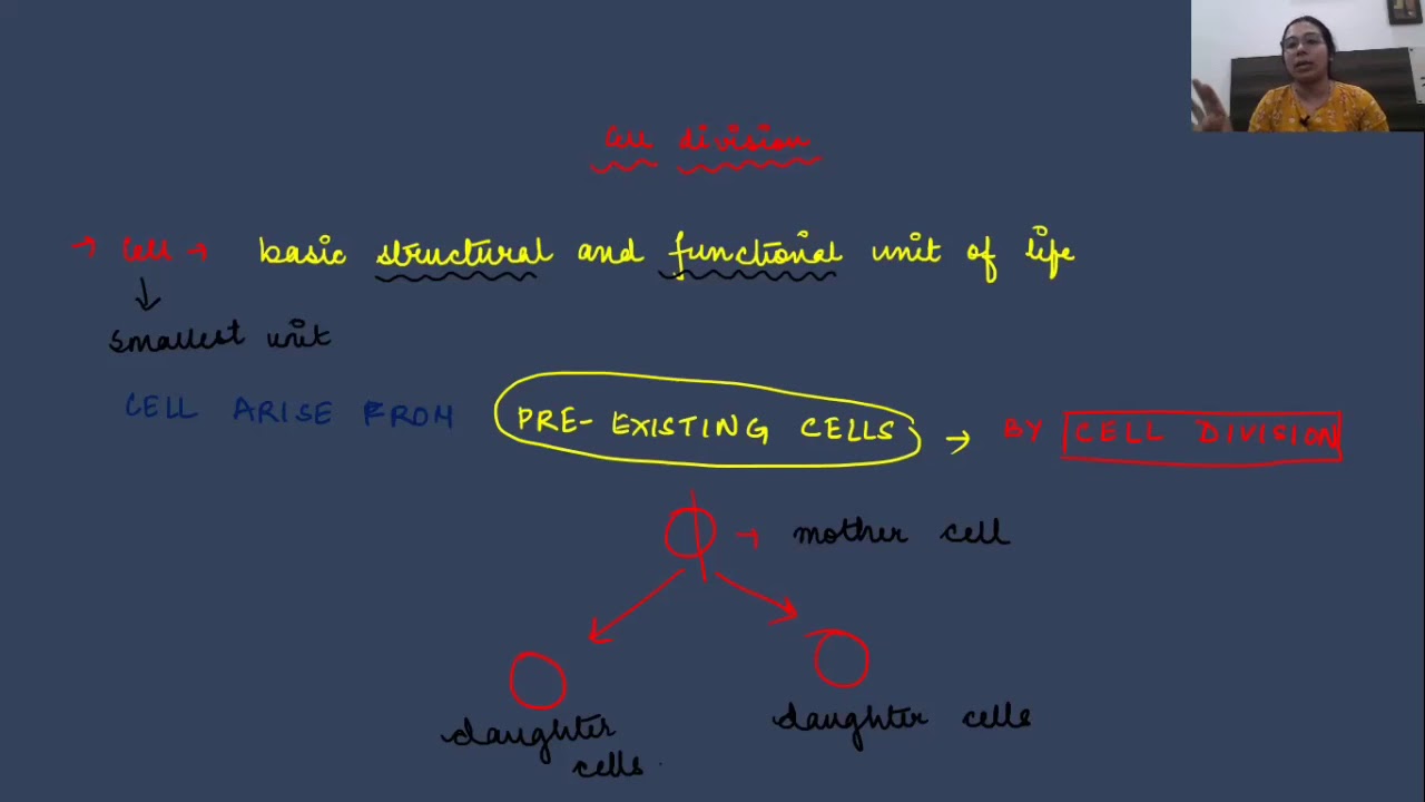 Introduction to Cell Division - YouTube