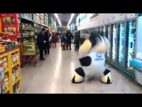 Vaca de supermercado dança show das poderosas