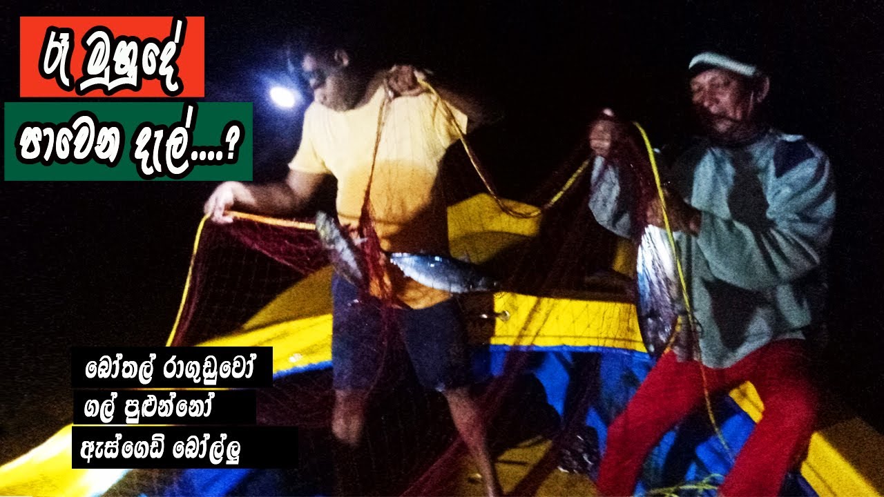 Night Fishing In Sea (Net Fishing) - YouTube