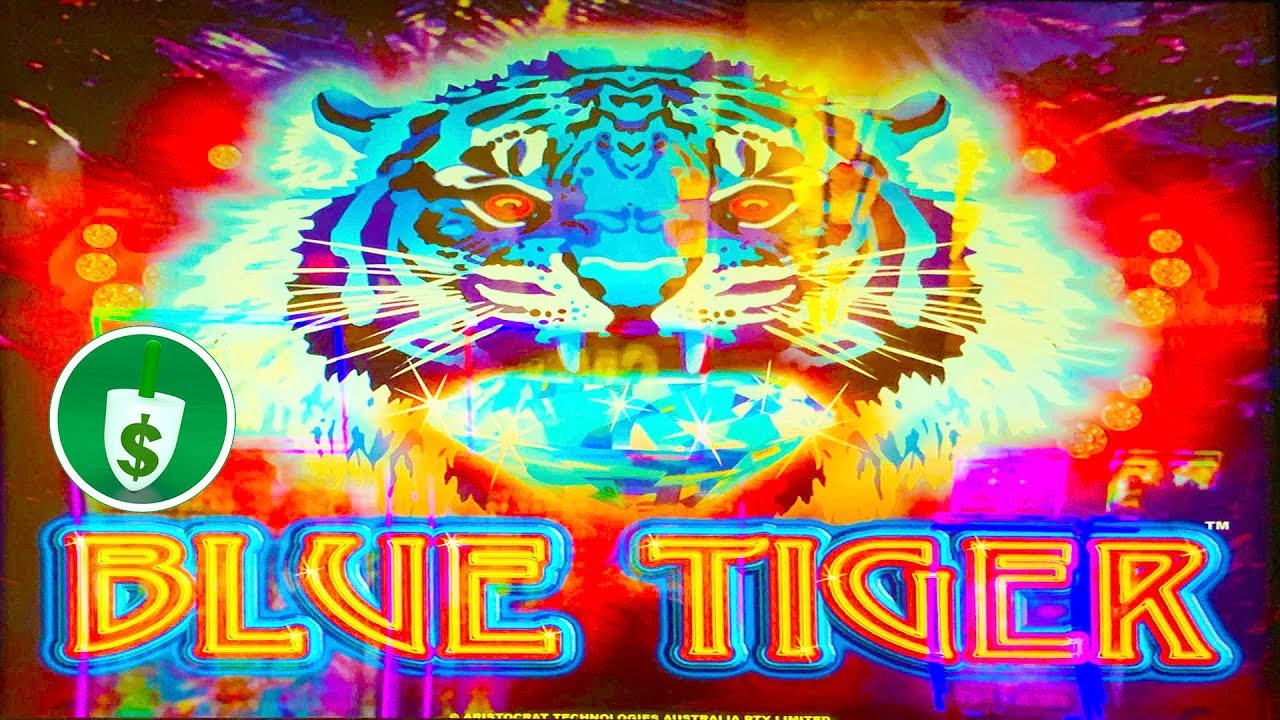 Blue Tiger slot machine, finally figured it out - YouTube