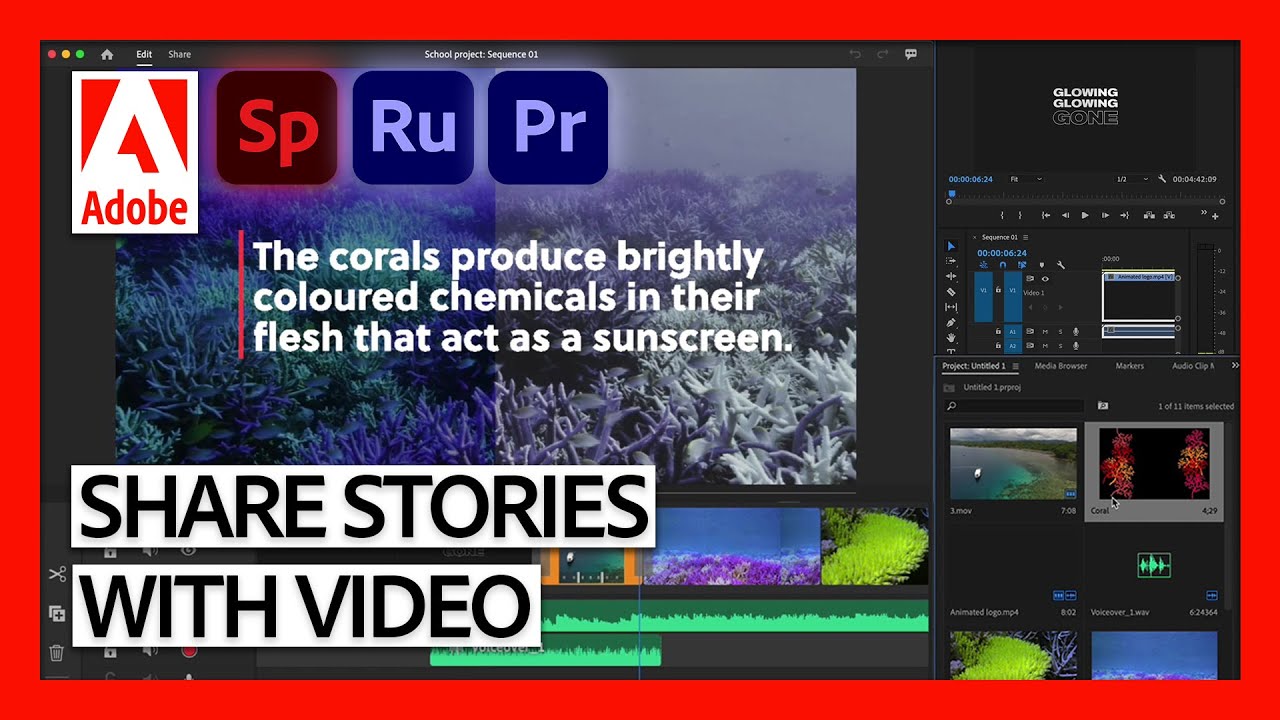 Create & Share Stories with Video | Adobe in the Classroom Video Bytes ...