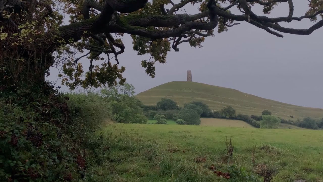 Cold Rain Sounds Under the Tree in England | Gentle Rainfall for ...