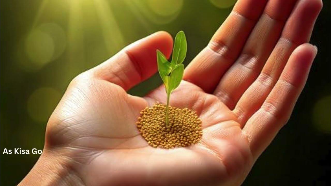 The Mustard Seed: Buddha’s Powerful Lesson on Life and Grief - YouTube