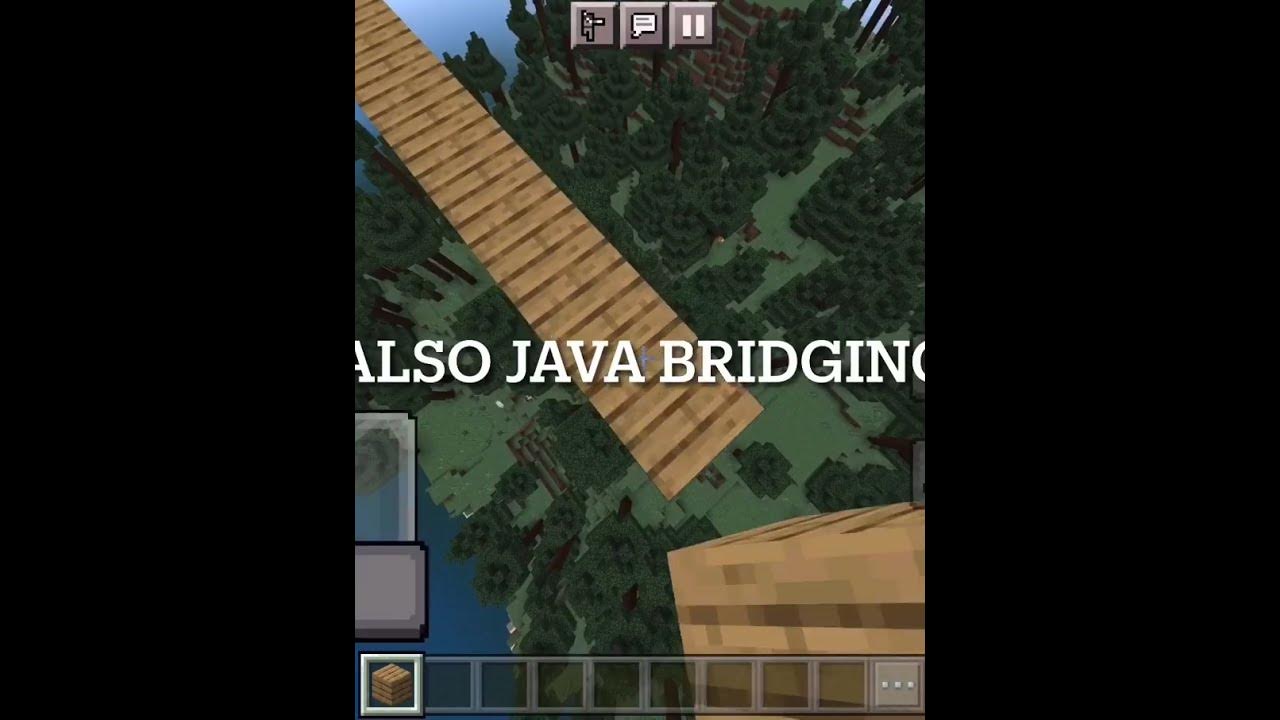 Java bridging vs bedrock bridging - YouTube