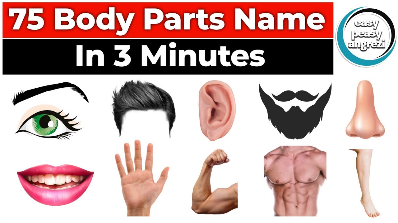 75 Body Parts Name In British English 🇬🇧 - YouTube