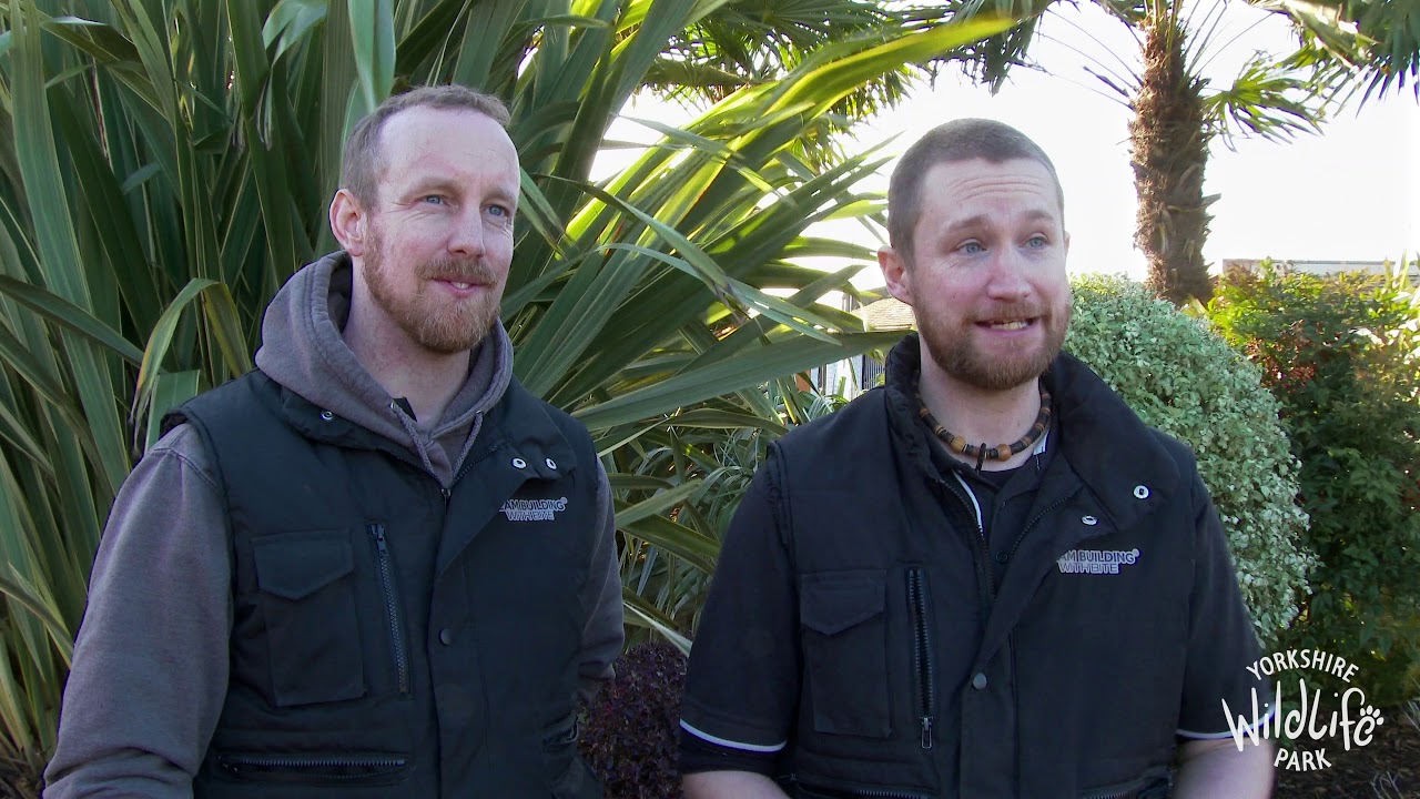 Team Building with Bite at Yorkshire Wildlife Park. - YouTube