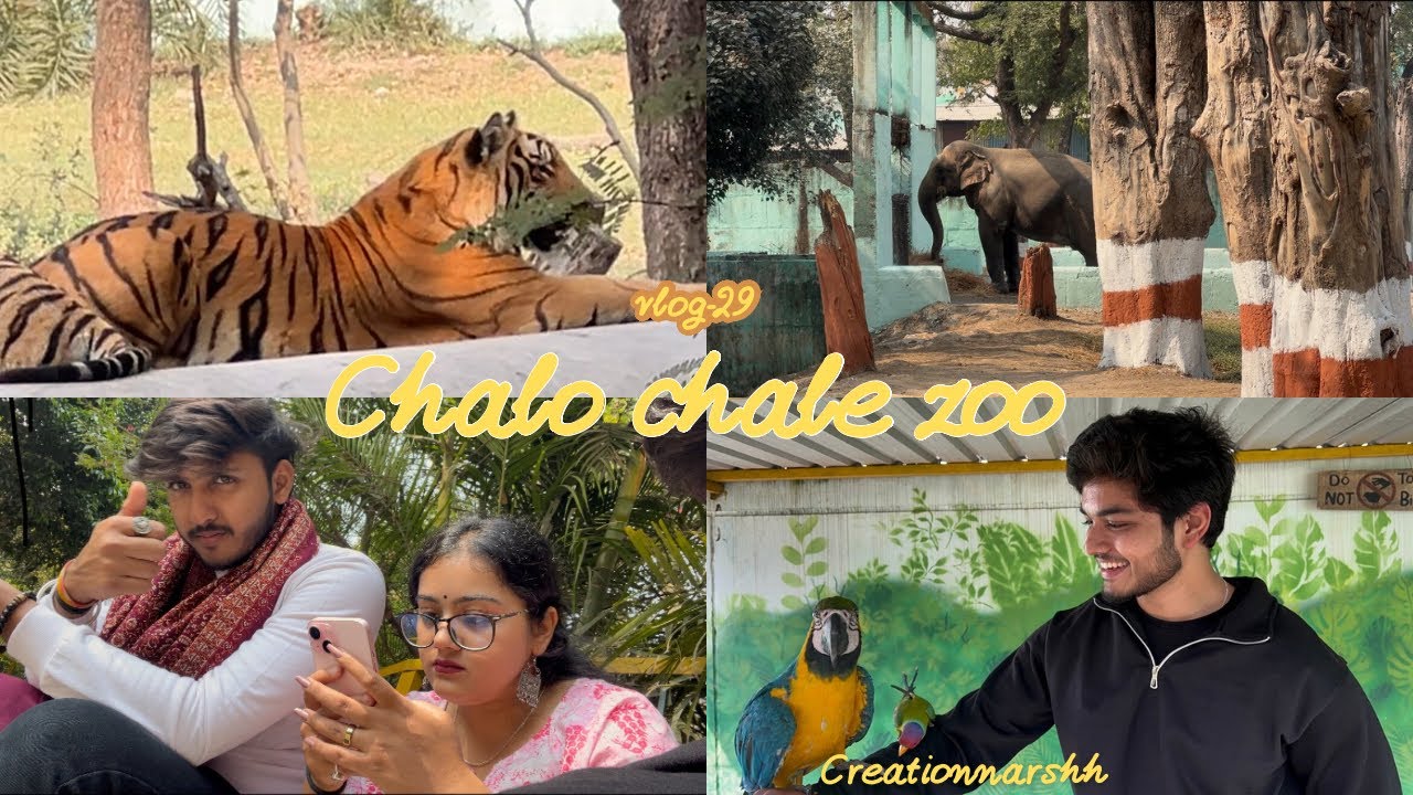 Chalo chale Indore ke zoo🐾 / ultimate fun / vlog #indore #vlog #indorezoo - YouTube
