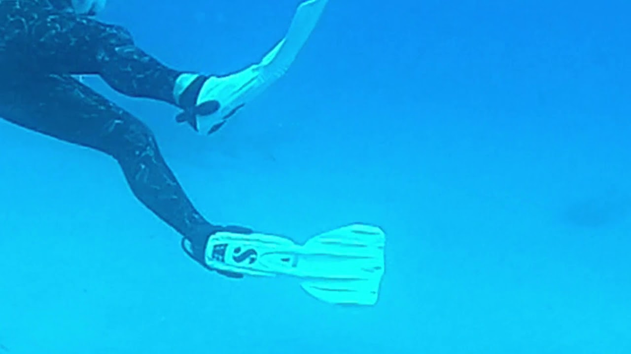June 2020 Jupiter West Palm Dive - YouTube