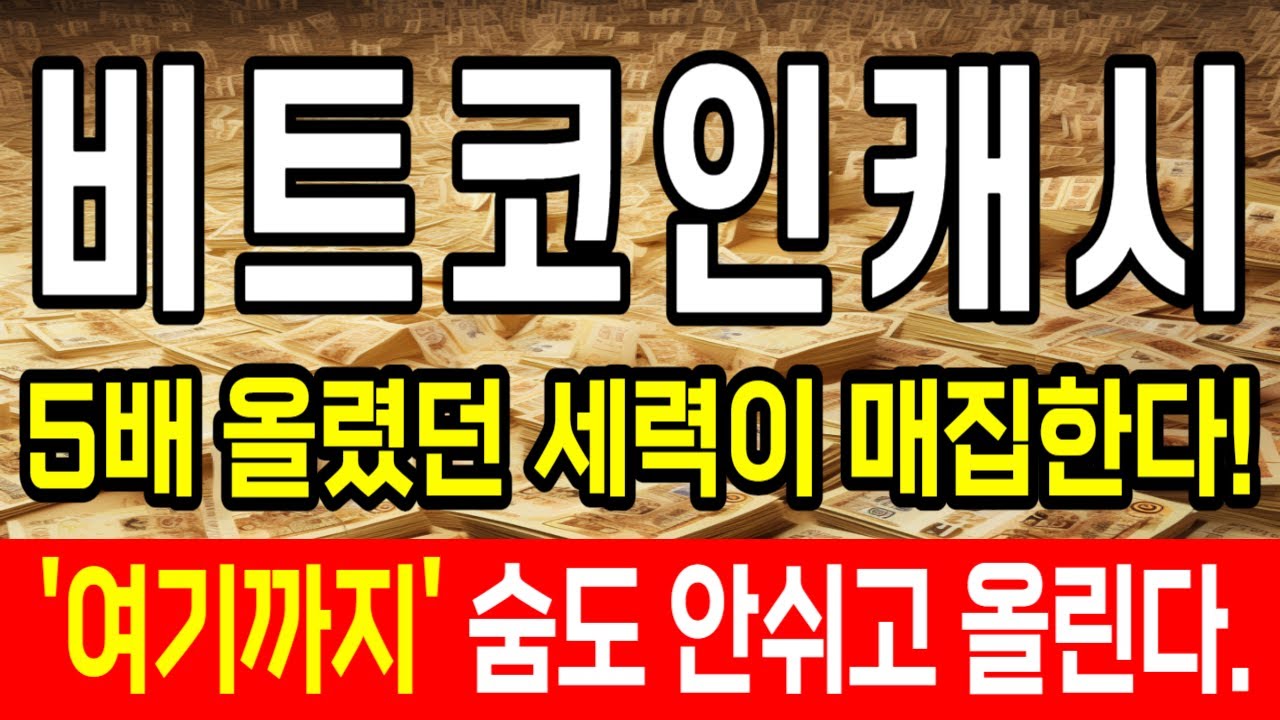 비트코인캐시 세력포착 세력은 여기까지 올립니다 비트코인캐시비트코인캐시전망비트코인캐시분석비트코인캐시목표가
