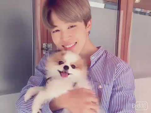 Jimin- Shy