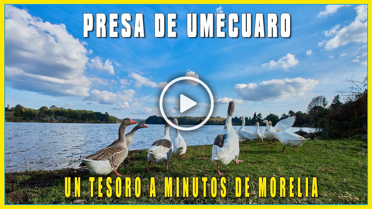 Presa de Umécuaro un tesoro a minutos de Morelia ¡Visitalo! - YouTube
