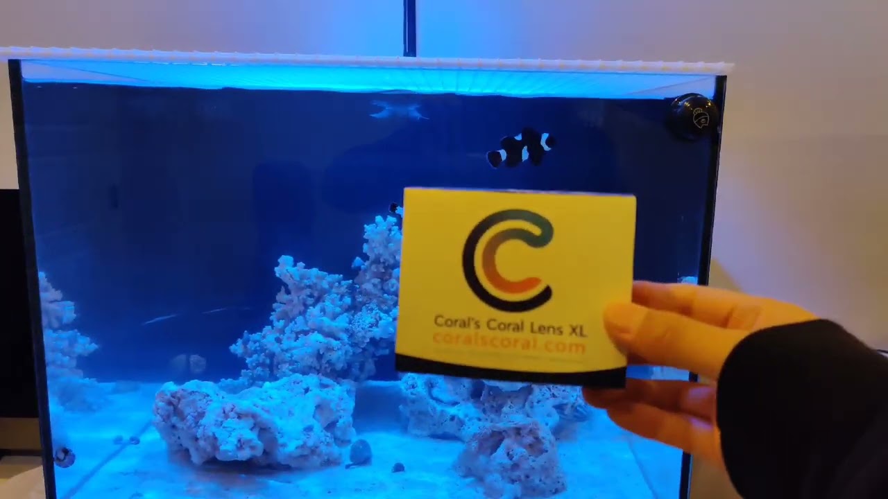 Waterbox 60.2 - Coral's Coral mobile reef filter kit - new tank mates ...