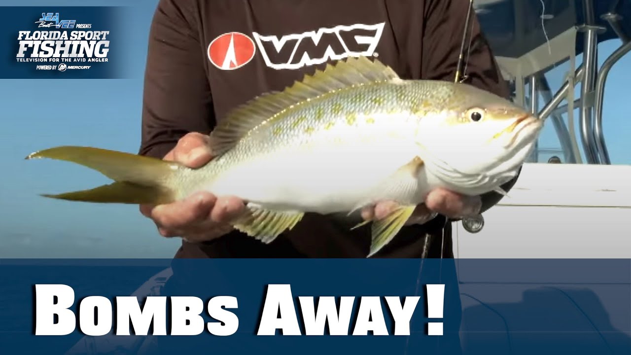 Sand-Balling Yellowtail Snapper - Join Florida Sport Fishing TV PLUS ...