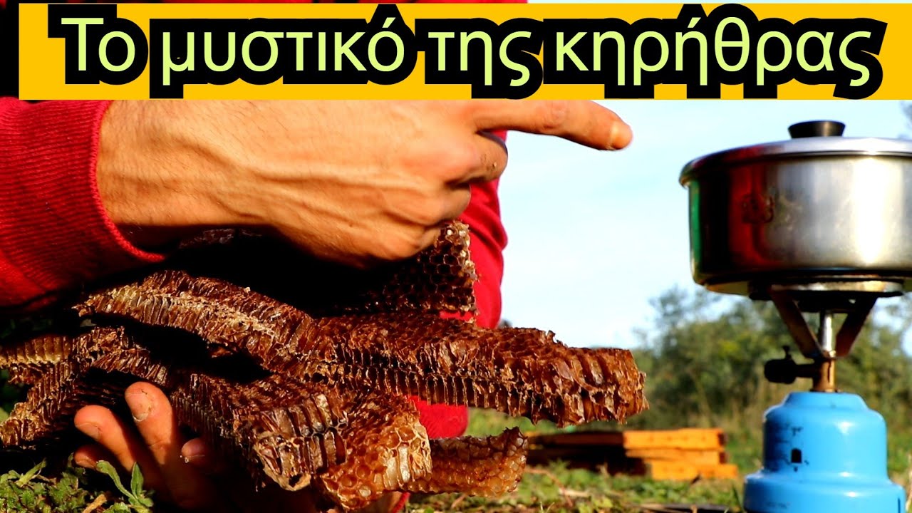Το μυστικό της κηρήθρας: Πατέντα στη φύση 3ο ΕΠΕΙΣΟΔΙΟ - YouTube