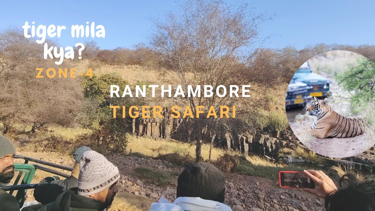 Tiger Mila Kya ??? Ranthambore Tiger safari | Ranthambore National Park ...