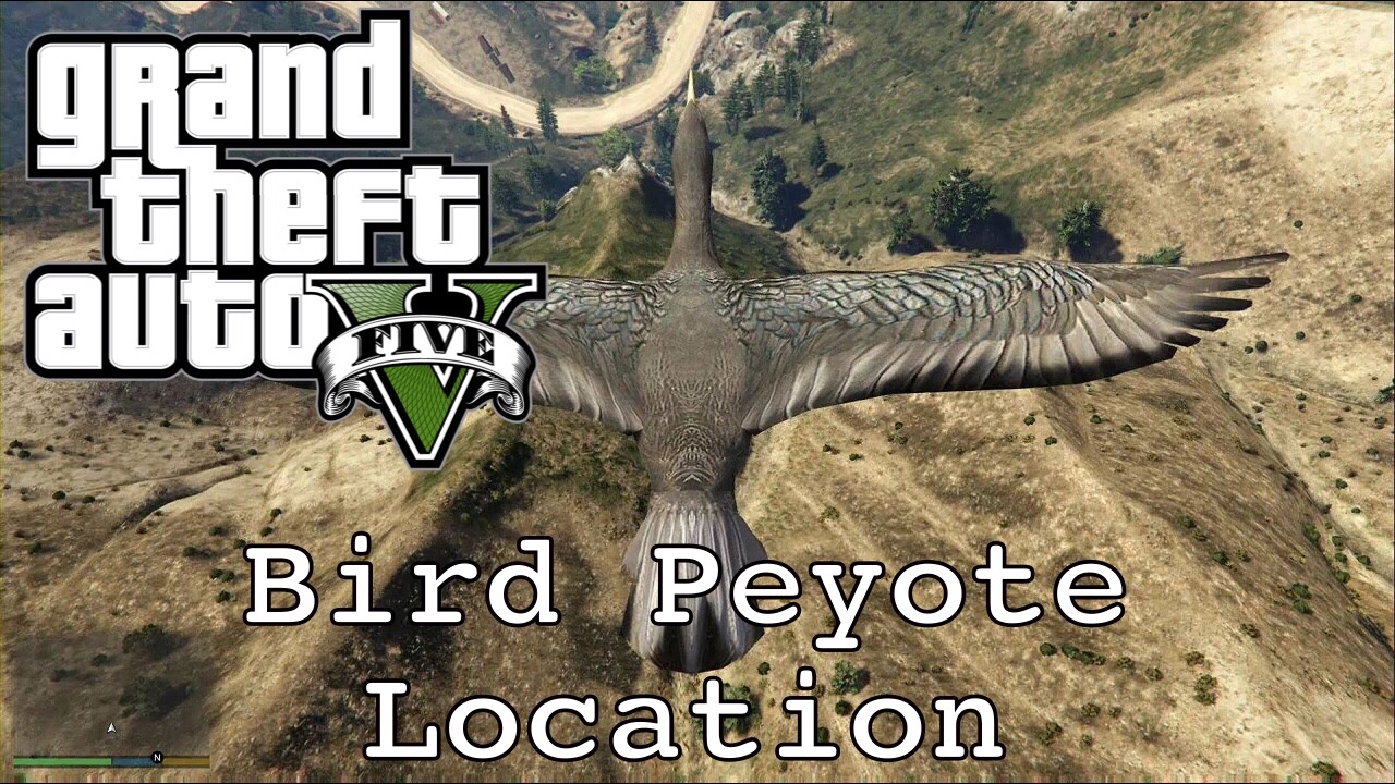 GUIDE | GTA V: Bird Peyote Location - YouTube