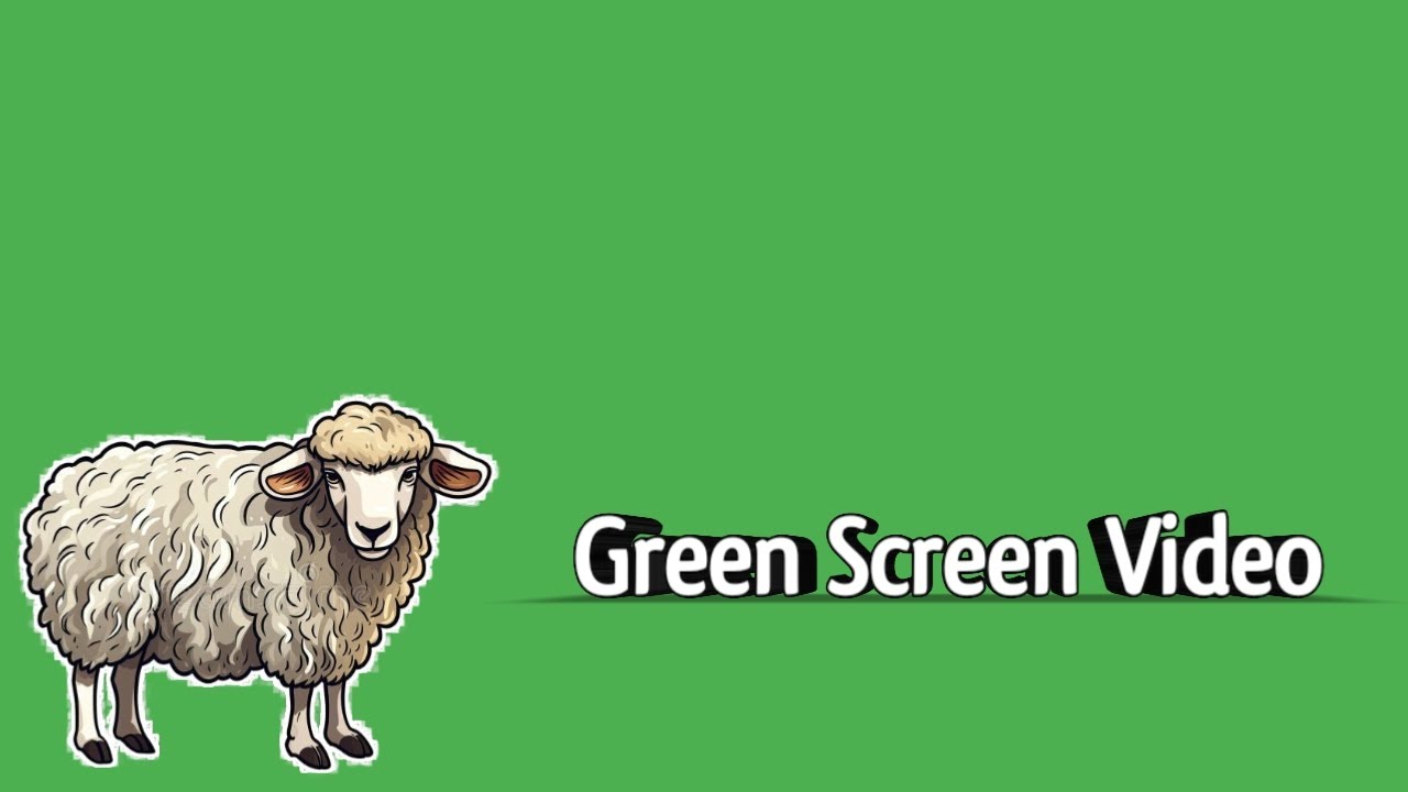 Green Screen Sheep Video | Feel free to Use it ! - YouTube