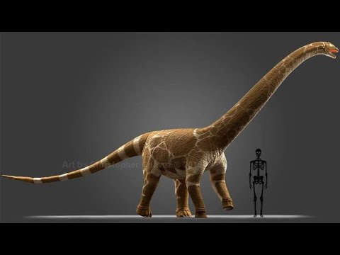 Atacamatitan - El Titán del Desierto de Atacama - DinoPedias 🇨🇱 - YouTube