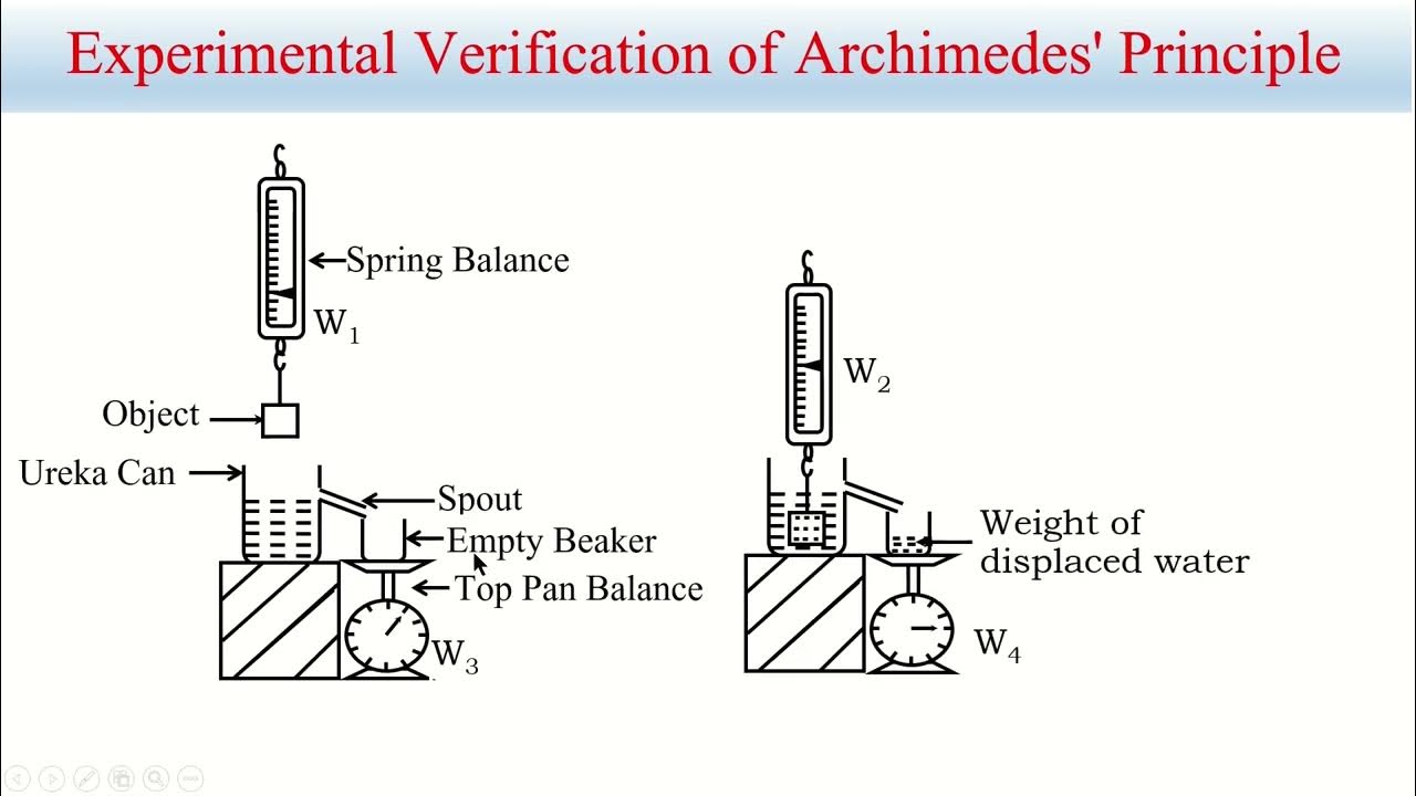 Experimental Verification of Archimedes' Principle - YouTube