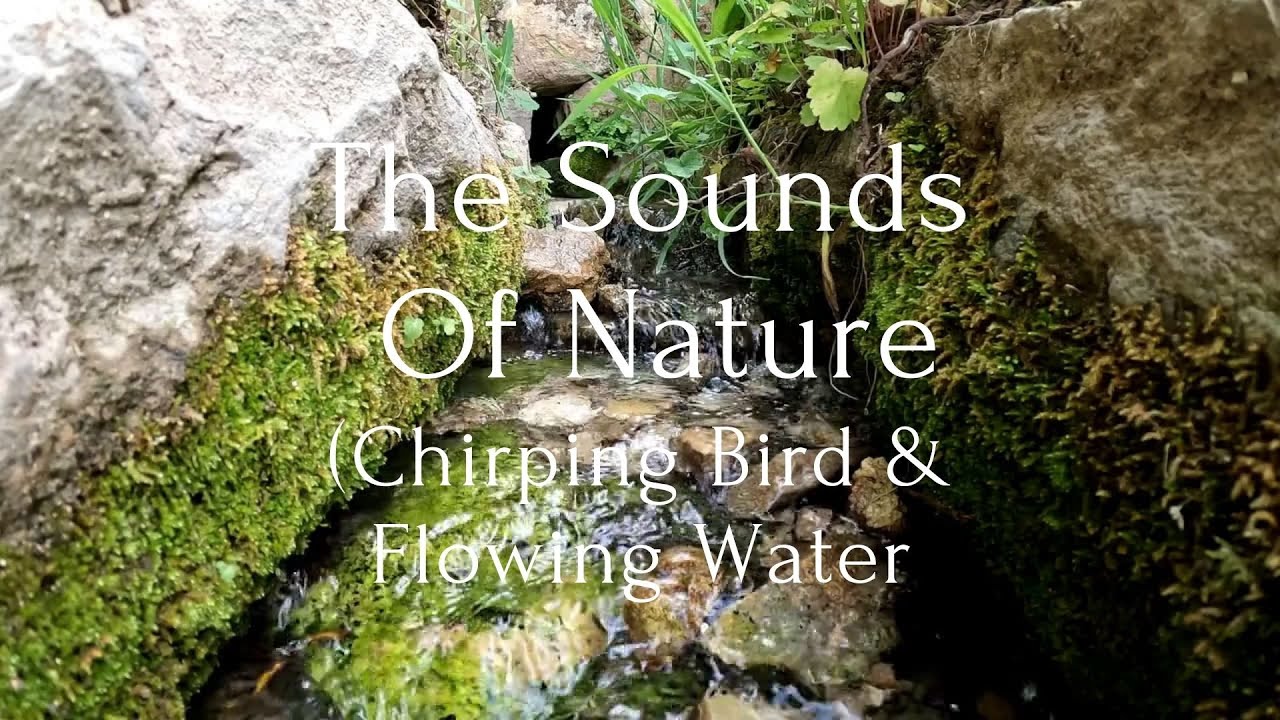 자연의 소리(계곡물소리, 새소리) * The Sounds Of Nature(flowing water and chirping ...
