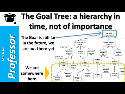 The Goal Tree: a hierarchy in time, not of importance - YouTube