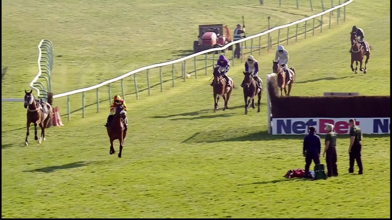 Waikiki Waves wins the "Matthew Hackney Foundation Handicap Chase" at ...