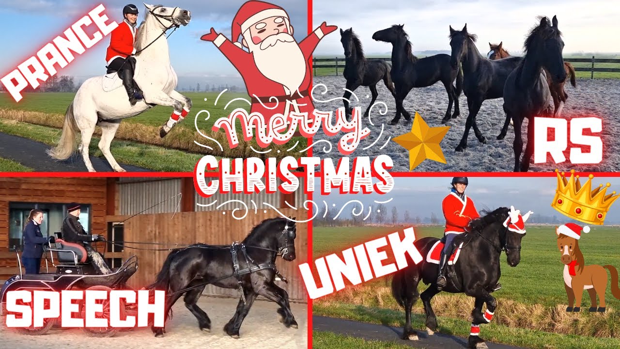 Queen👑Uniek, Rising Star⭐ and friends | Prancing horse | Friesian ...