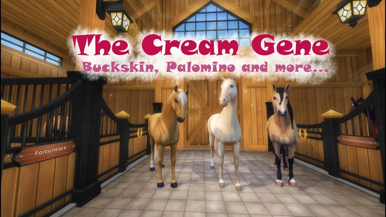 The Cream Gene - Palomino, Buckskins and more explained! - YouTube