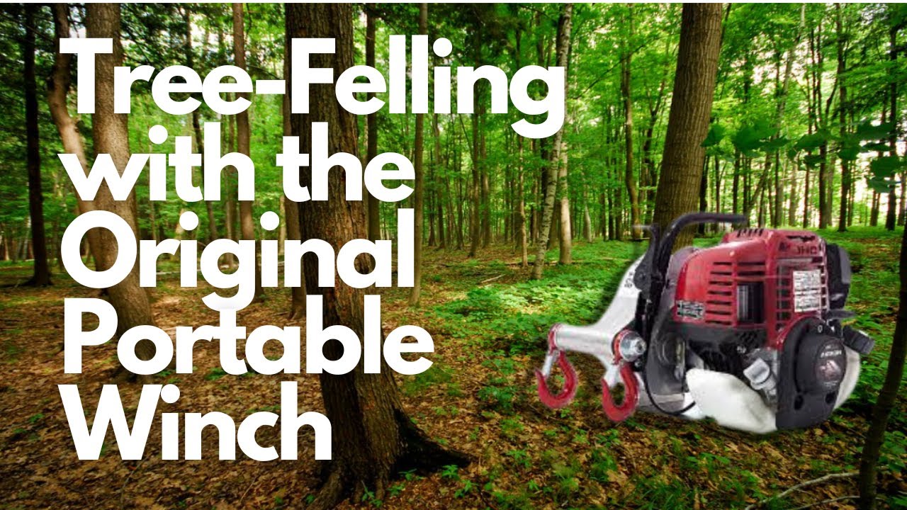 Building the Bruce: Summer 2022 Felling Trees with the Original ...