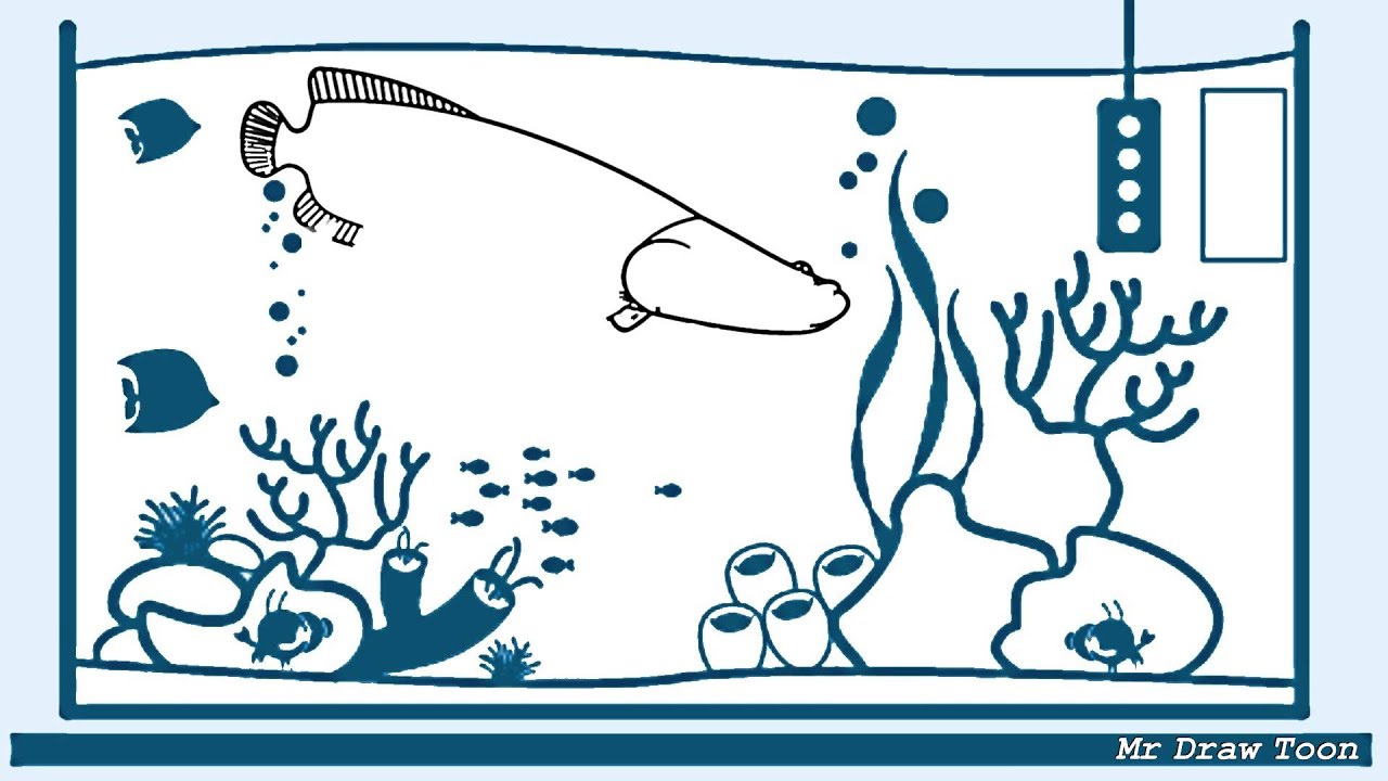 How to draw Arapaima - Fish - YouTube