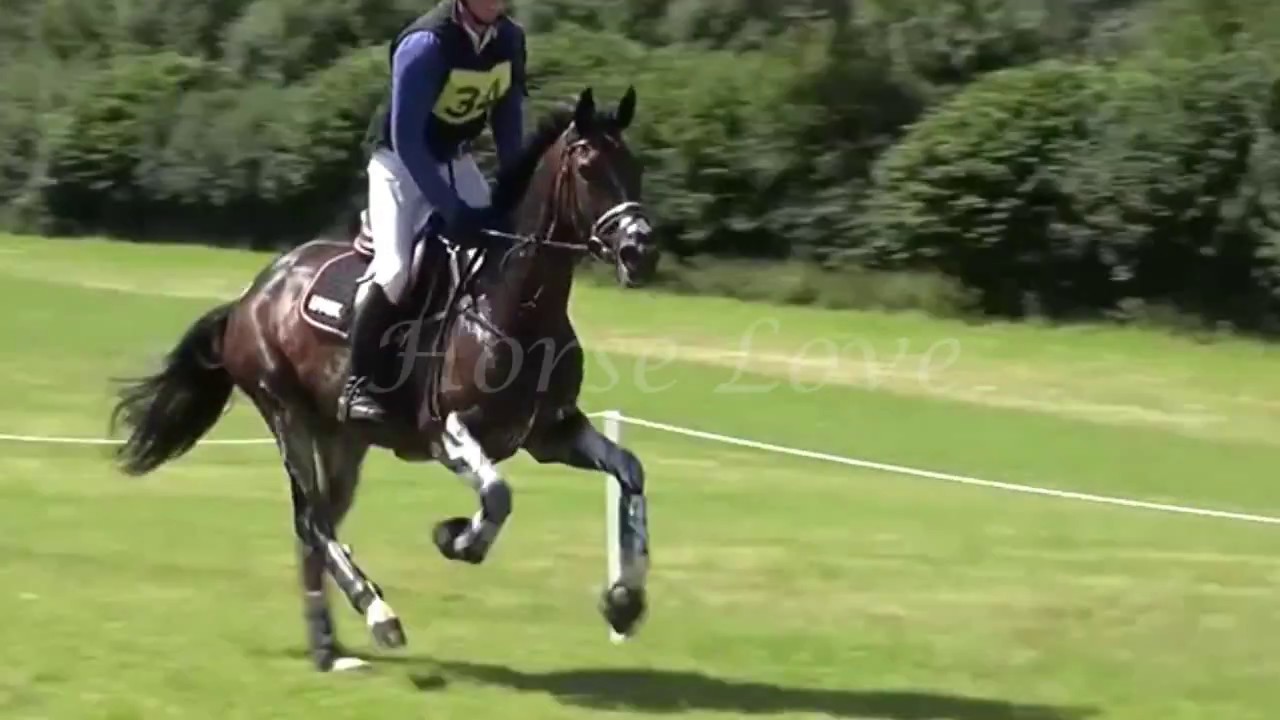 Hall of Fame || Cross Country Music Video - YouTube