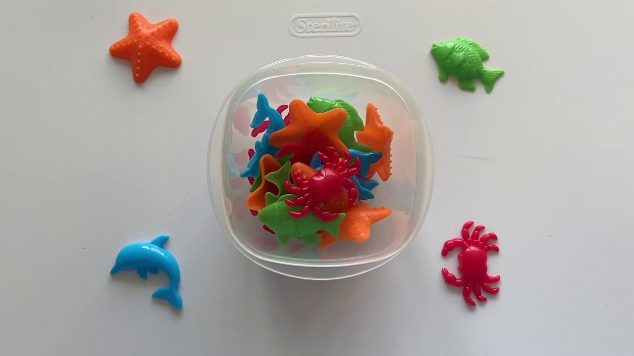 Sort by Category - Sea Life - YouTube