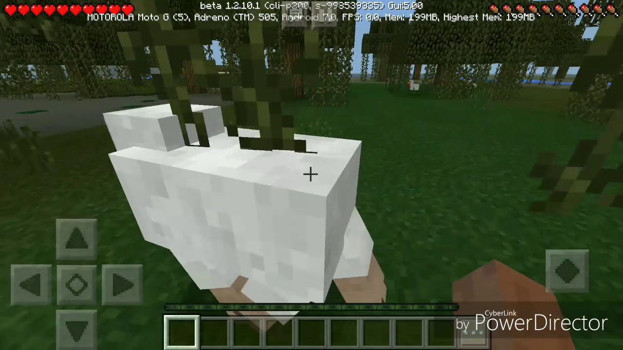 Seed entity 303 - YouTube