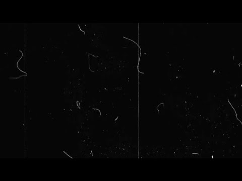 Dust and Scratch particles Template | old screen | Green Tech Video'z - YouTube