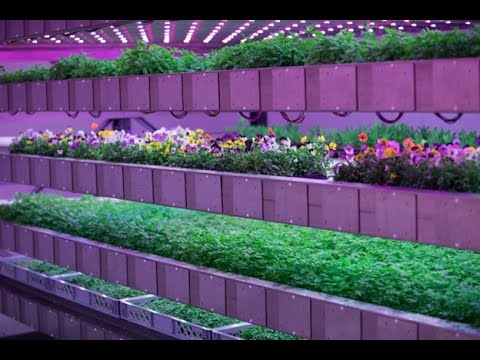 IGS Scalability in Vertical Farming - YouTube