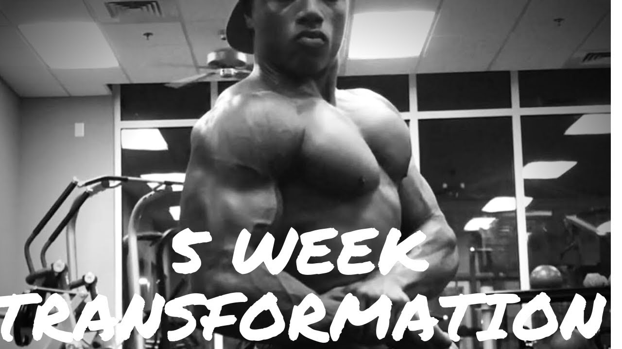 5 week Classic Physique Transformation - YouTube