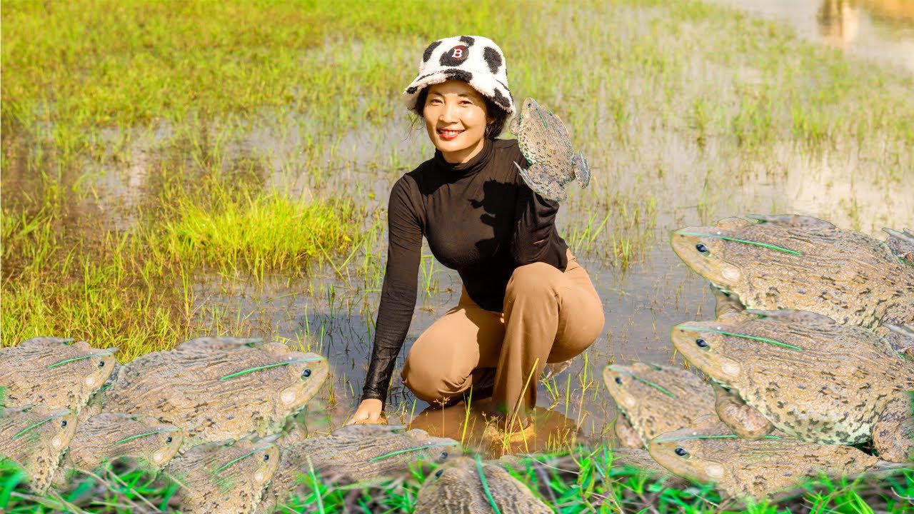 After the rain, a lot of frogs came out , beautiful girl catch the ...
