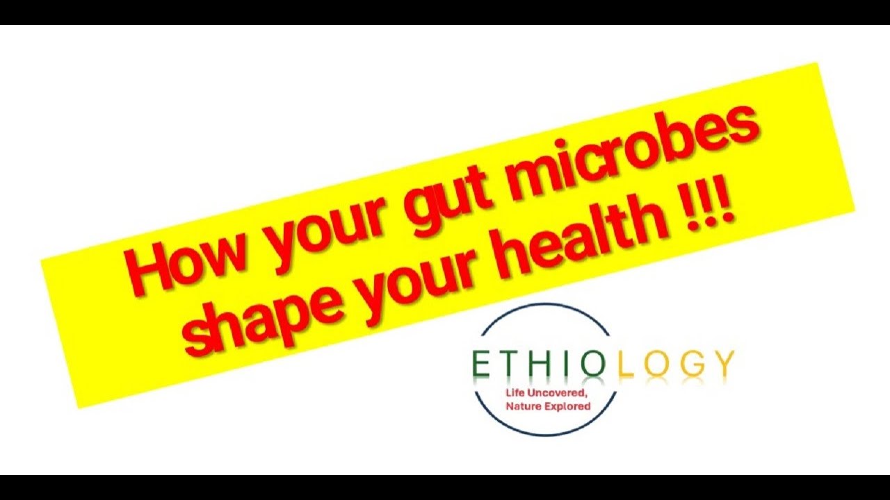 How your gut microbes shape your health - YouTube