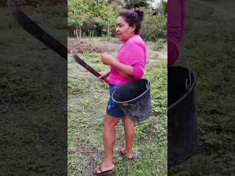 muito lindo meu feijão