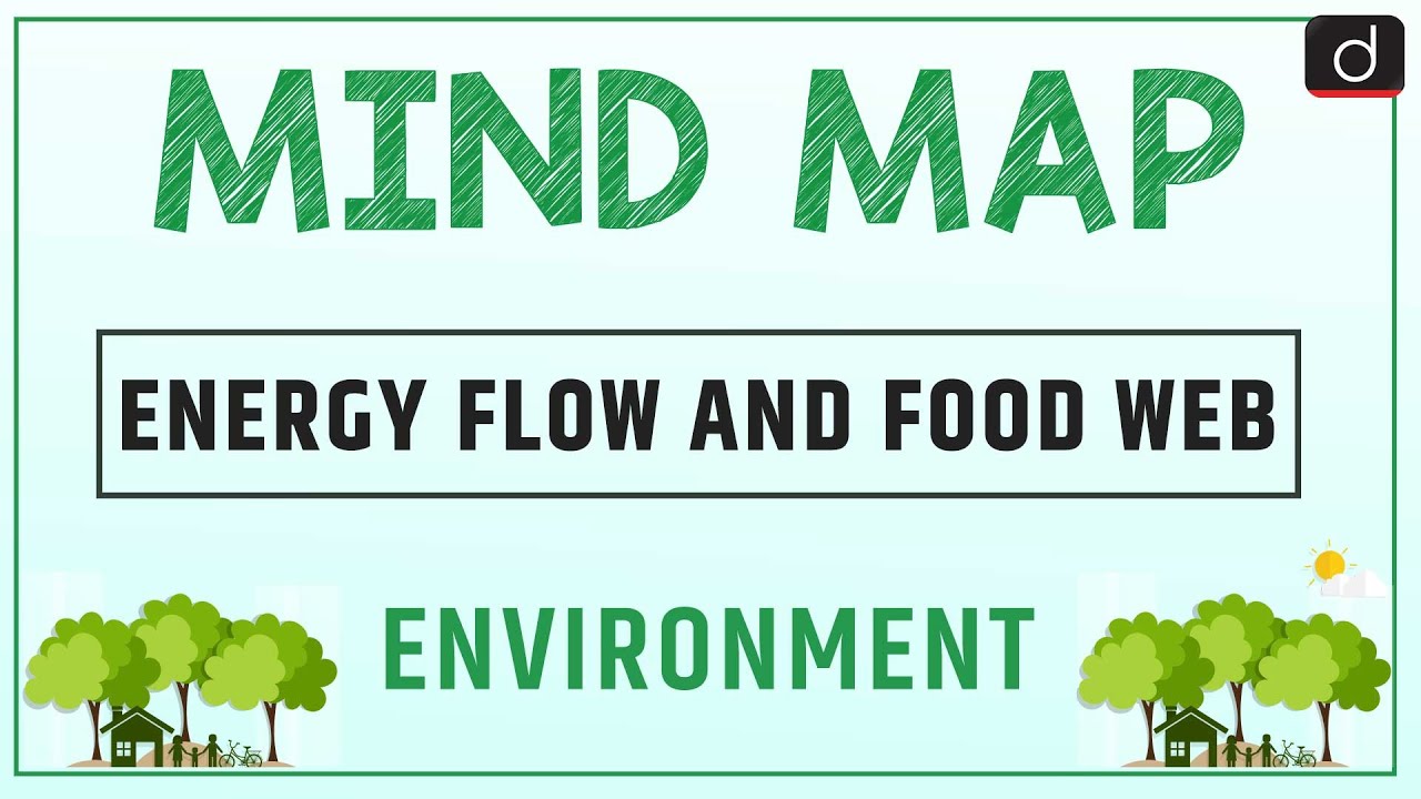 Energy Flow and Food Web - MINDMAP | Drishti IAS - YouTube