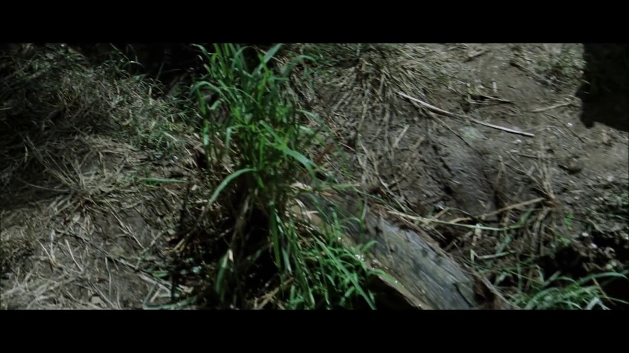 Rambo First Blood 2 (1985) - "Clean him Up" Scene (1080p) FULL HD - YouTube