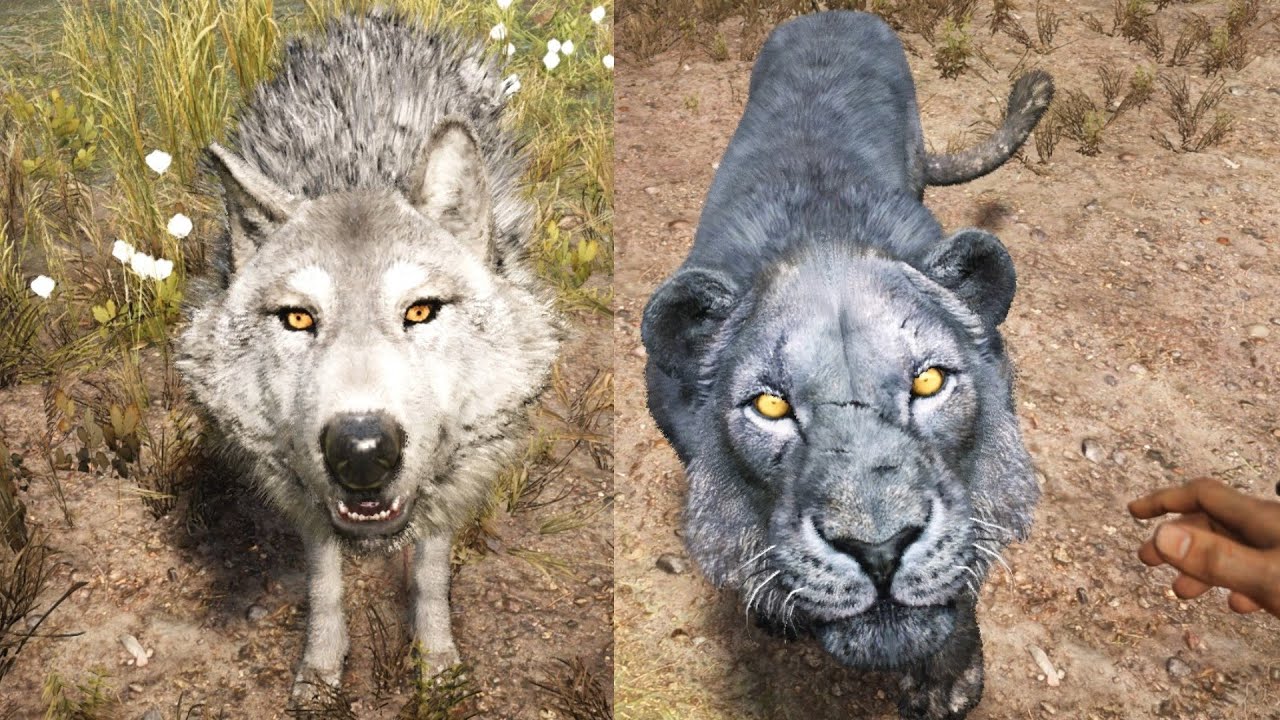 Far Cry Primal - 100% Game - Review - All Beasts - Skills - Upgrade ...