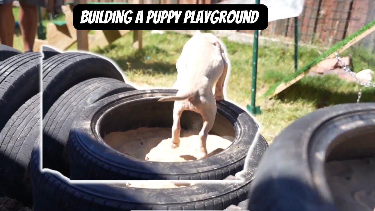 DIY Puppy Tire Playground - YouTube
