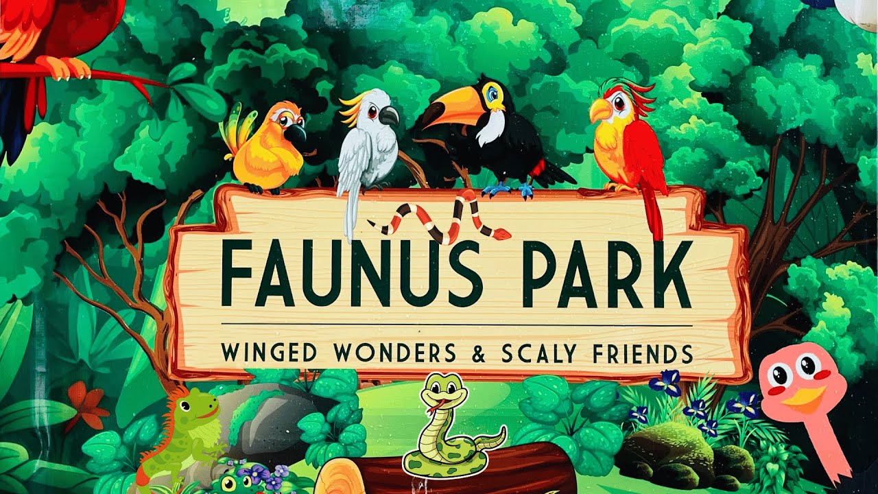 Faunus Park 😍| Faunus park Exotic birds park in ECR Chennai 🦜🐍 | Faunus ...