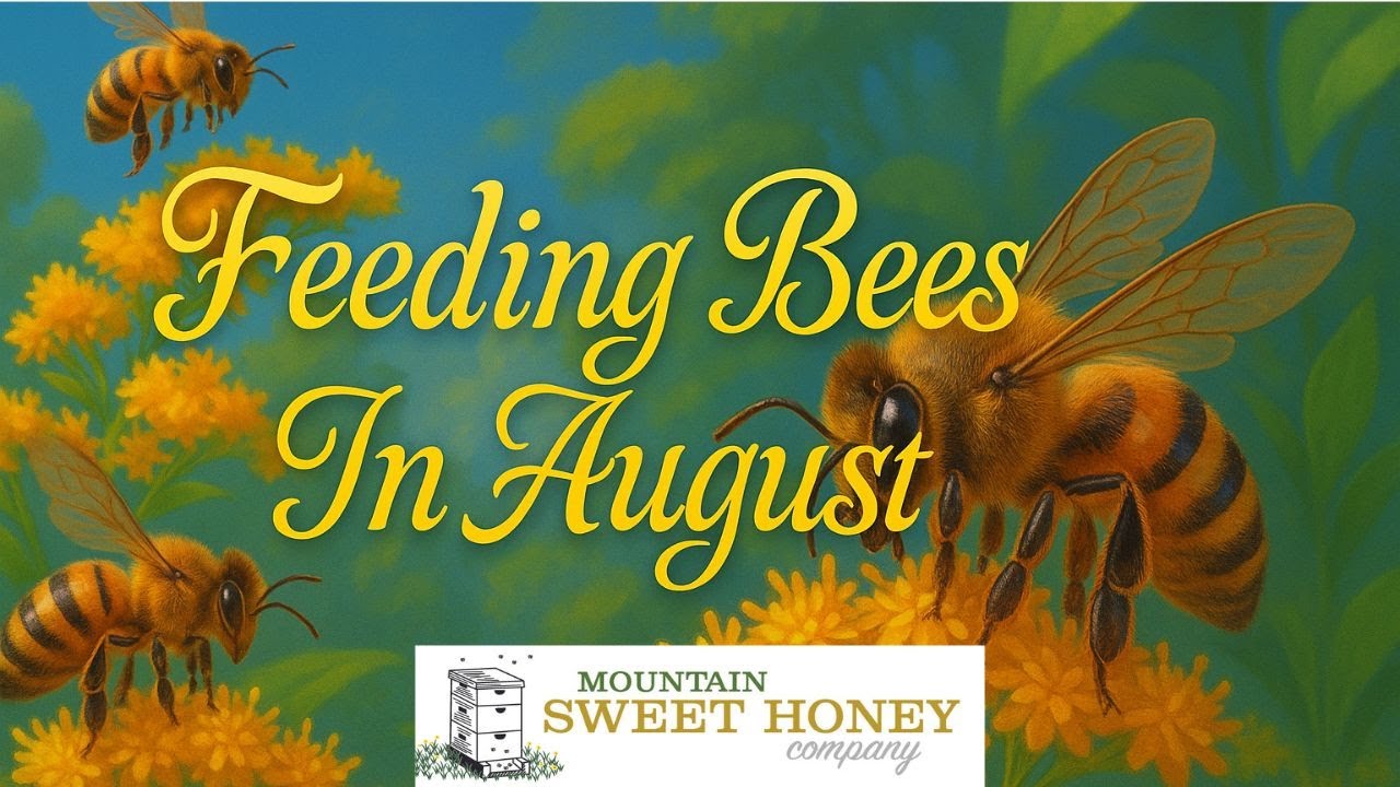 August Bee Feeding Secrets Every Beekeeper Should Know - YouTube