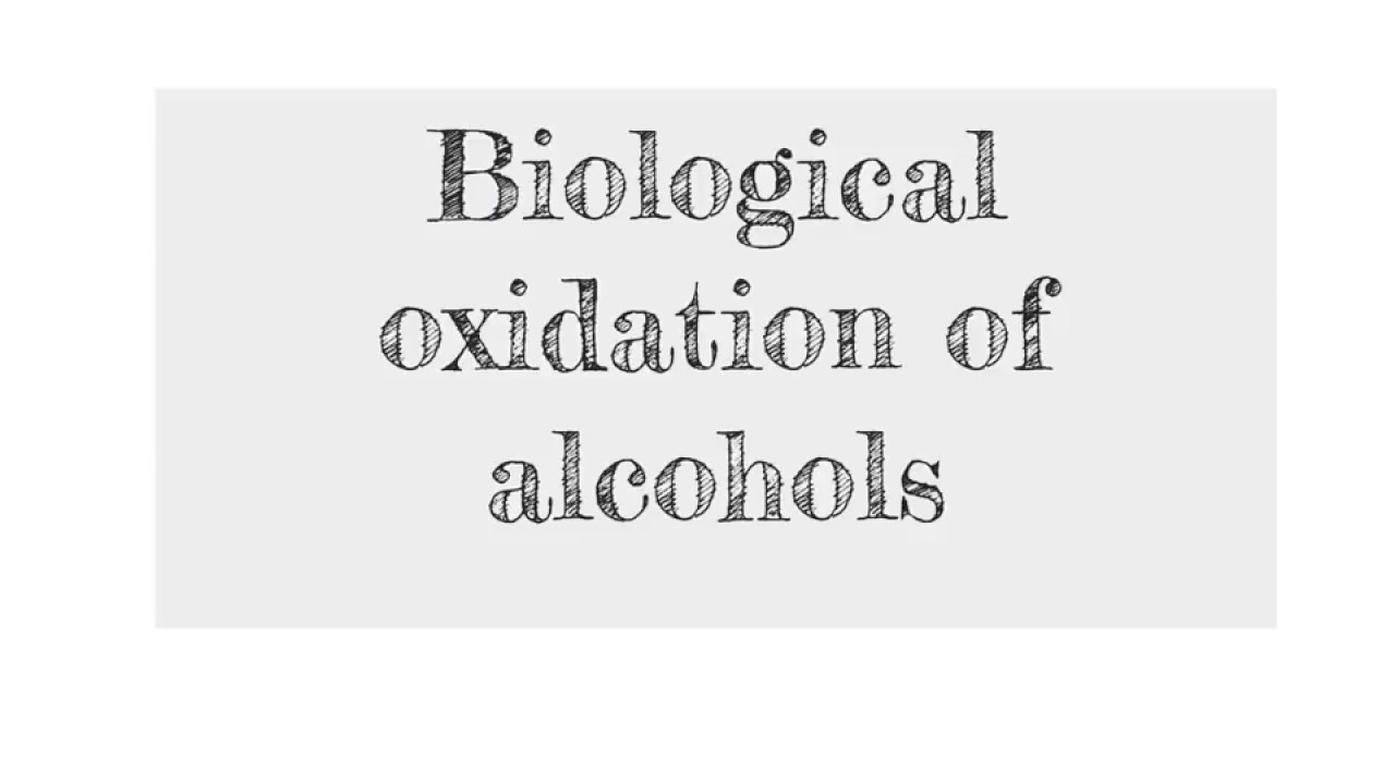 90a CHM2210 Biological Oxidation of Alcohols - YouTube