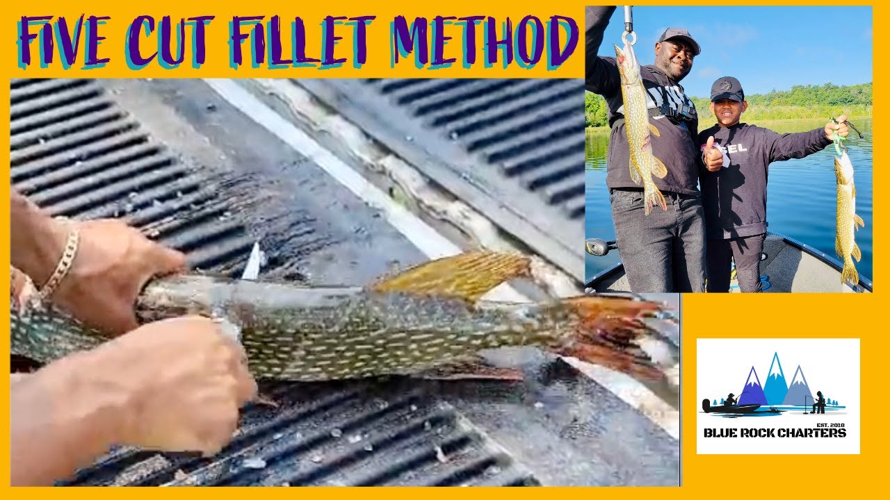 How to Fillet a Pike - Five Cut Method - YouTube